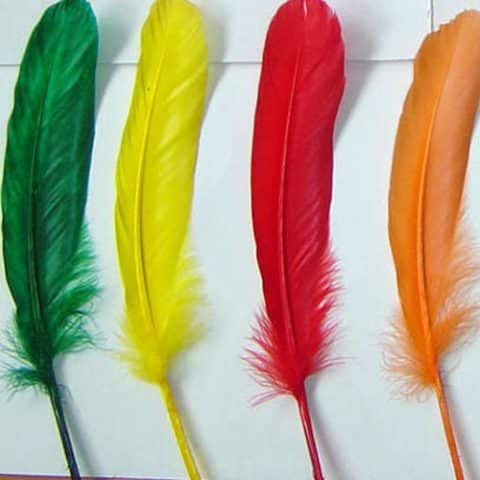 Long Feathers - CSEP Inc.